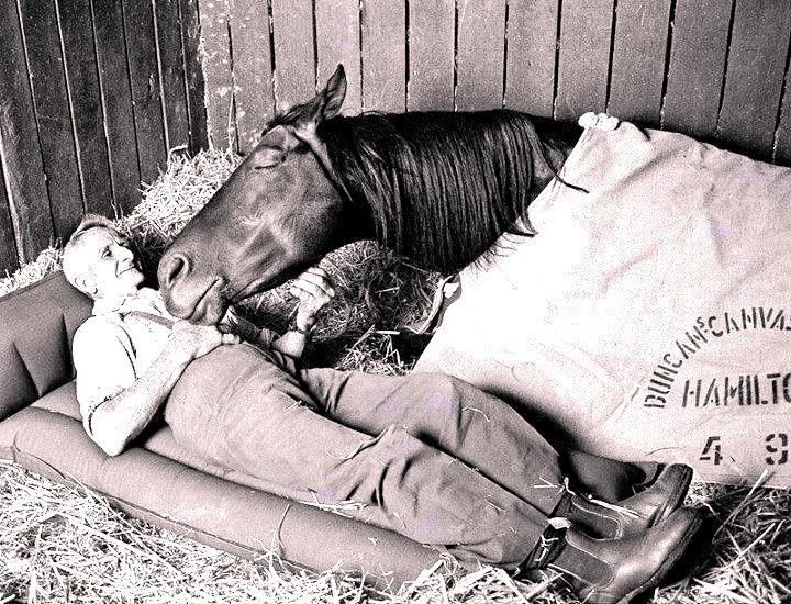 A Special Breed of Humans – Conscious Companion®