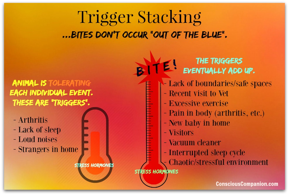 Nothing Happens “Out of the Blue” – Conscious Companion®