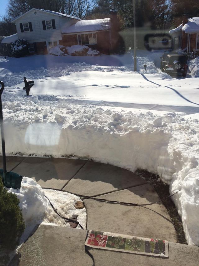 Remembering Those In Need During Snowmageddon – Conscious Companion®