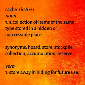 Cats Who Cache! – Conscious Companion®